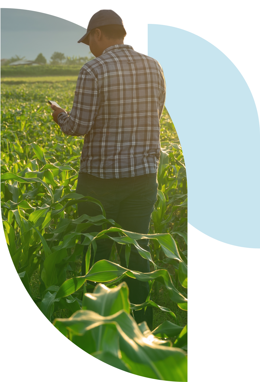Nexus Diagnostics | Safeguard Crops & Maximize Yield